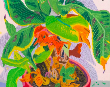 Johan Kleinjan – Gallery Untitled